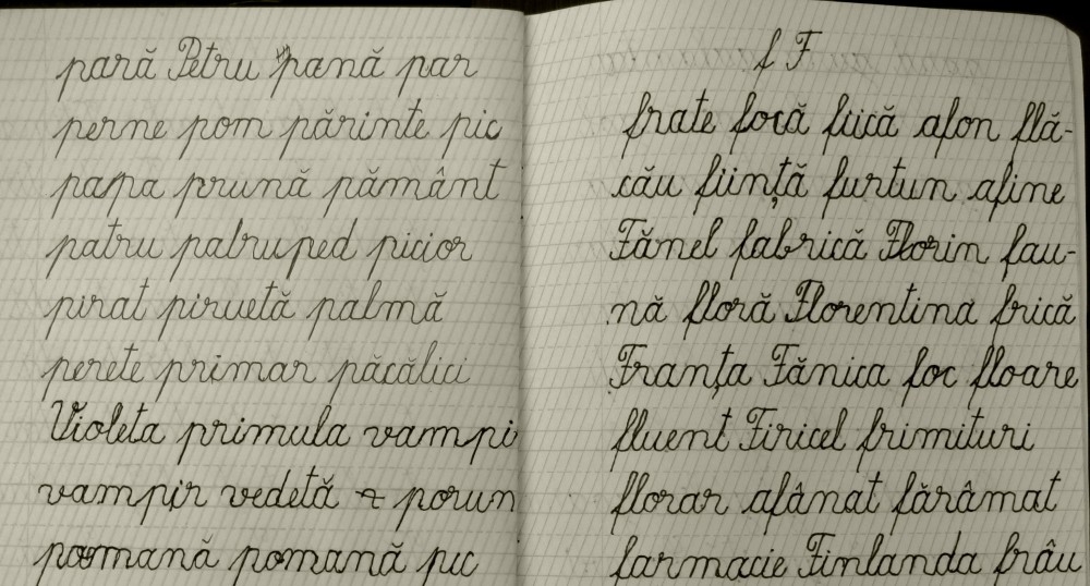 Draga Clasa 1, vara asta am invatat sa scriu - Blog in Tandem