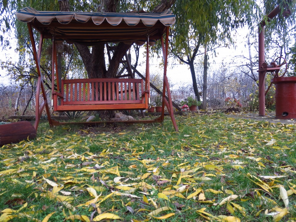 Compunere pentru scoala: TOAMNA - Blog in Tandem