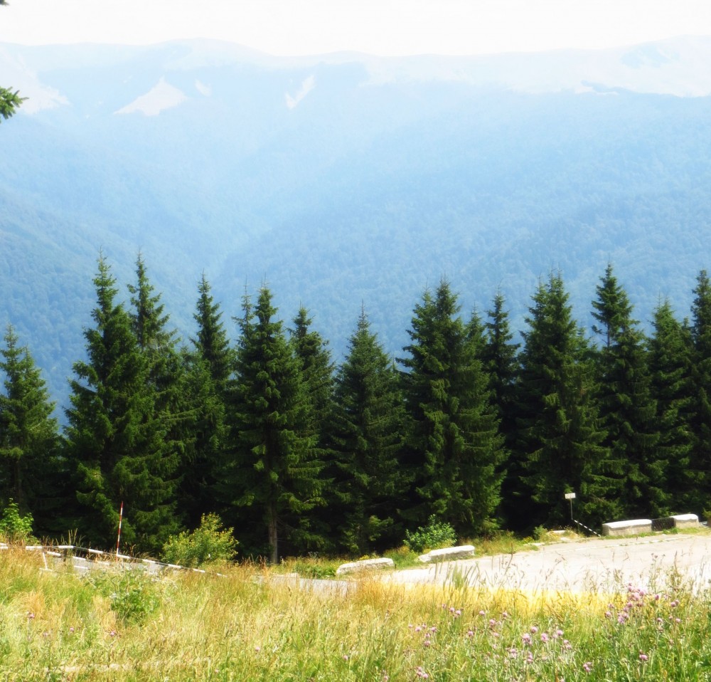 Weekend la munte in 17 imagini colorate - Blog in Tandem